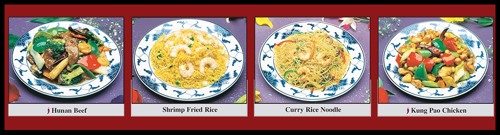 Yummy Chinese - Overland Park, KS 66223 (Menu & Order Online)
